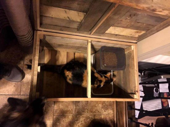 Pallet Cat House - DIY - Pallets Pro